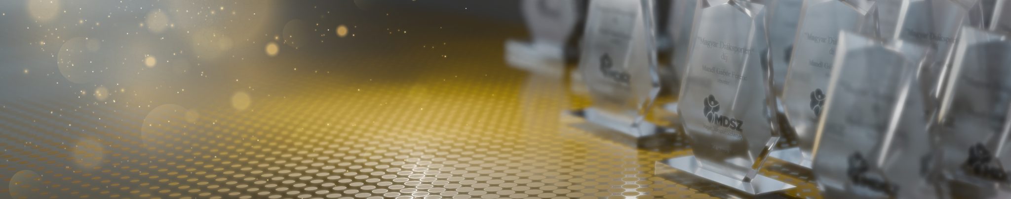 MDSZ – Büszkeségeink